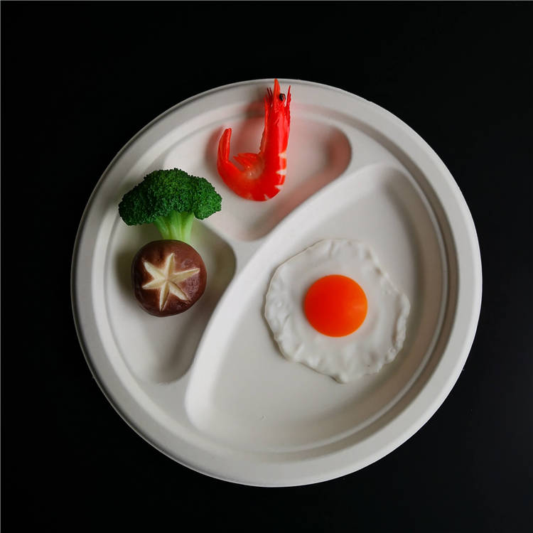 compartment plate bagasse trays bagasses plates manufacturing process